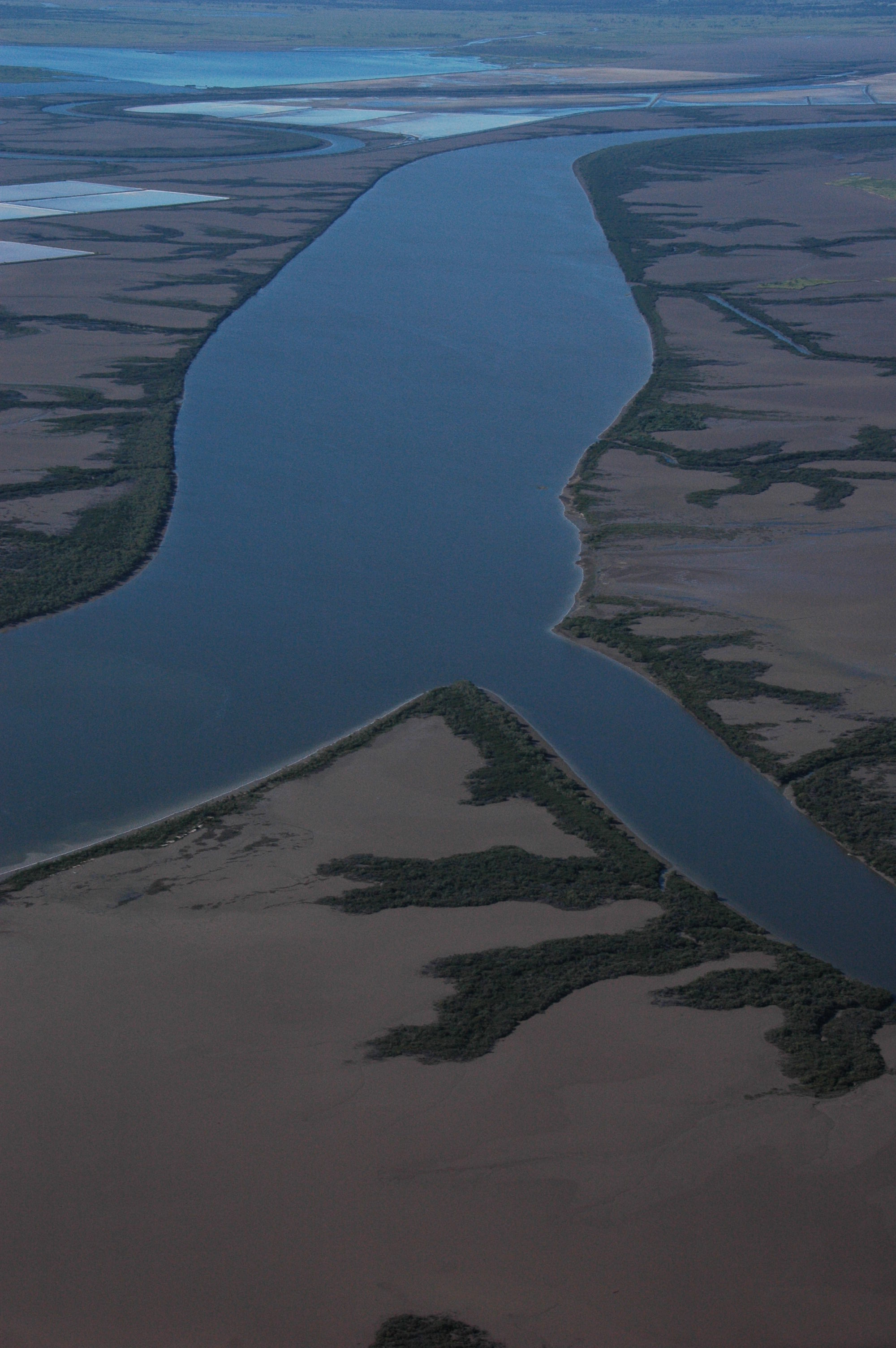 Fitzroy Partnership for River Health