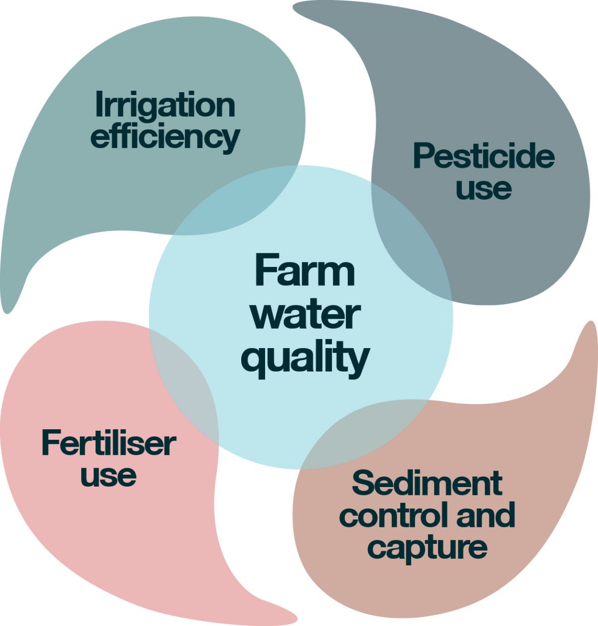 Cotton Australia: Sustainable cotton production in the Fitzroy Basin ...