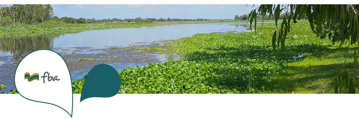 Fitzroy Basin Association: Building a circular economy and changing ...